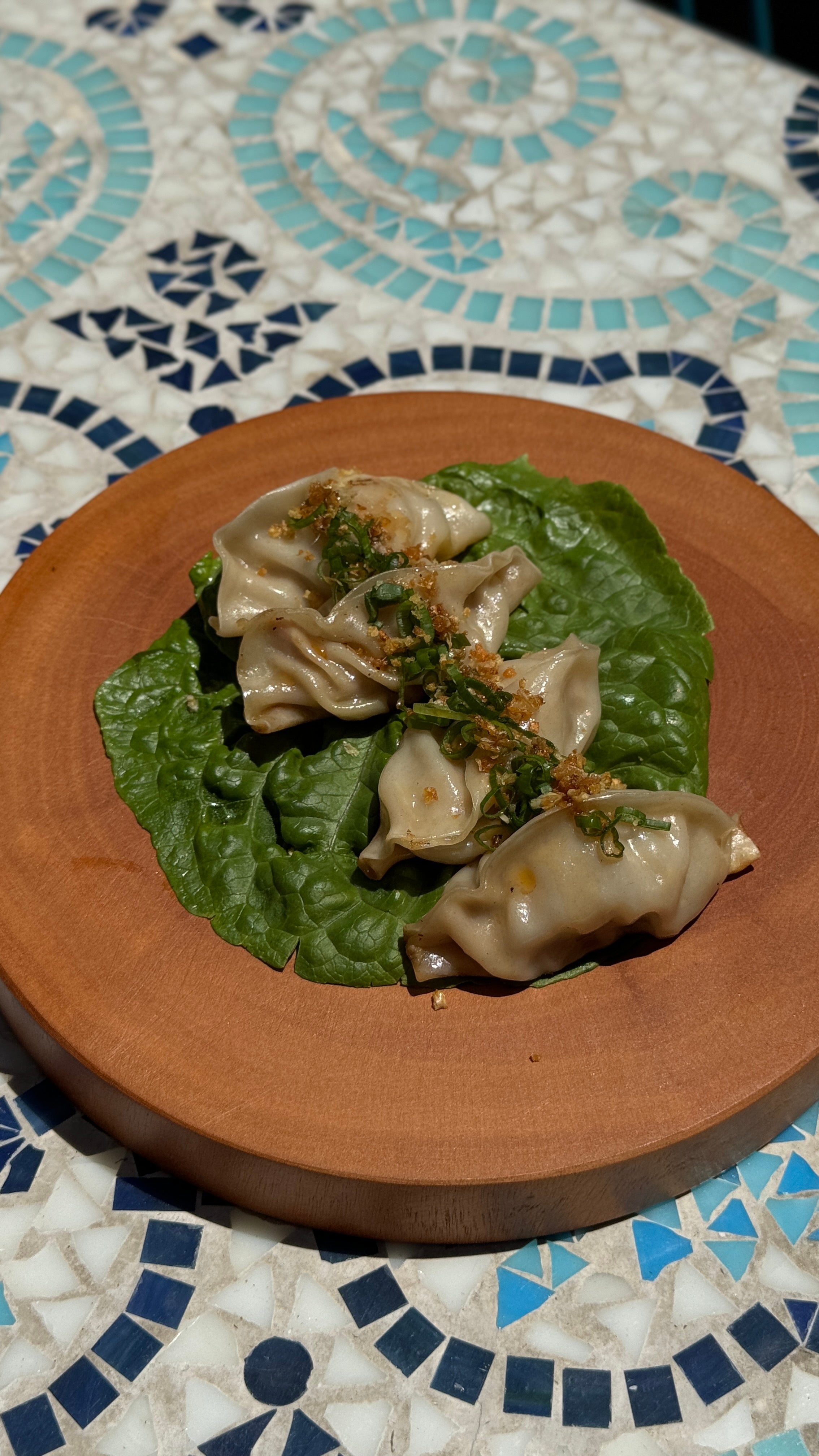 Filipino Adobo Chicken Dumplings | Pantry on Magnolia